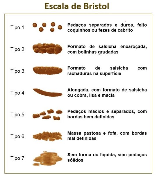 O formato das fezes e a saúde intestinal - Dra. Edna Ferraz - Proctologista